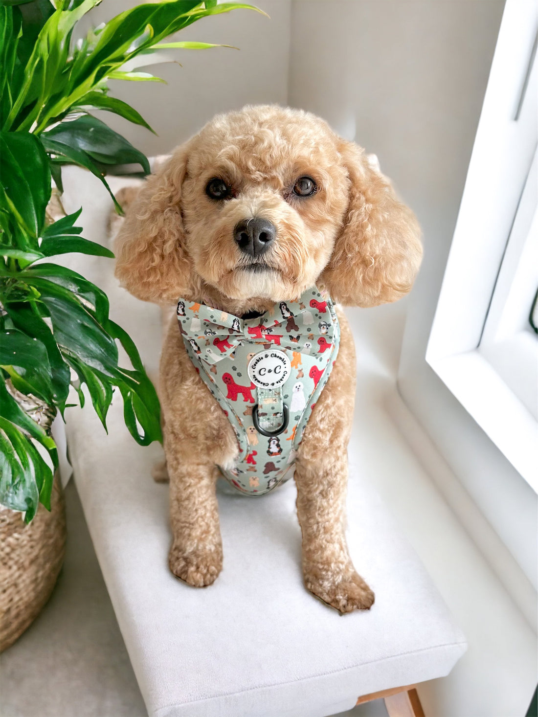 Lead – ‘Doodle Tales’ – CookieandChewkie